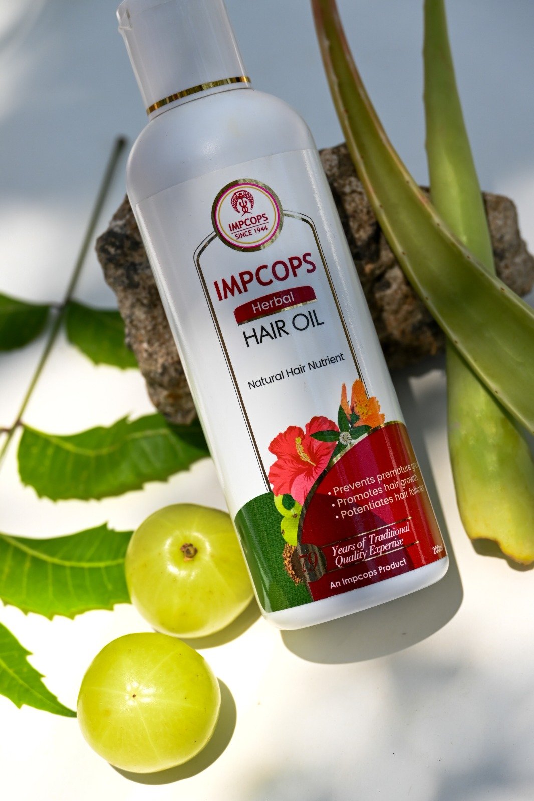 Asokarishta 450 ml – IMPCOPS